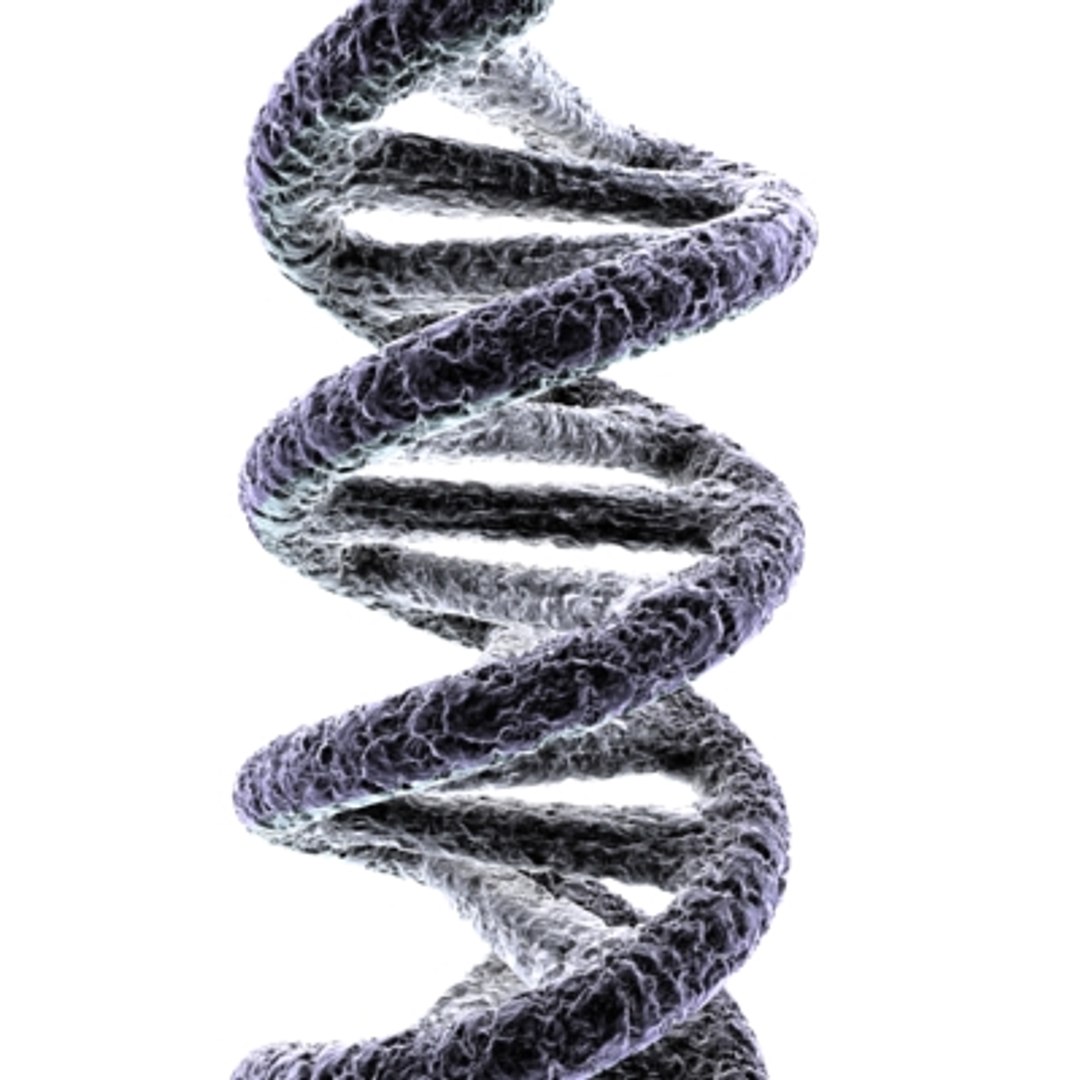 3ds Max Dna Helix