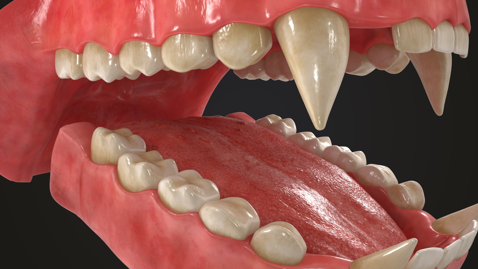 Creature Jaw Rig 3ds MAX model - TurboSquid 1781587