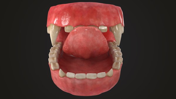 Creature Jaw Rig 3ds MAX model - TurboSquid 1781587