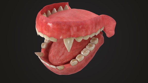 Creature Jaw Rig 3ds MAX model - TurboSquid 1781587