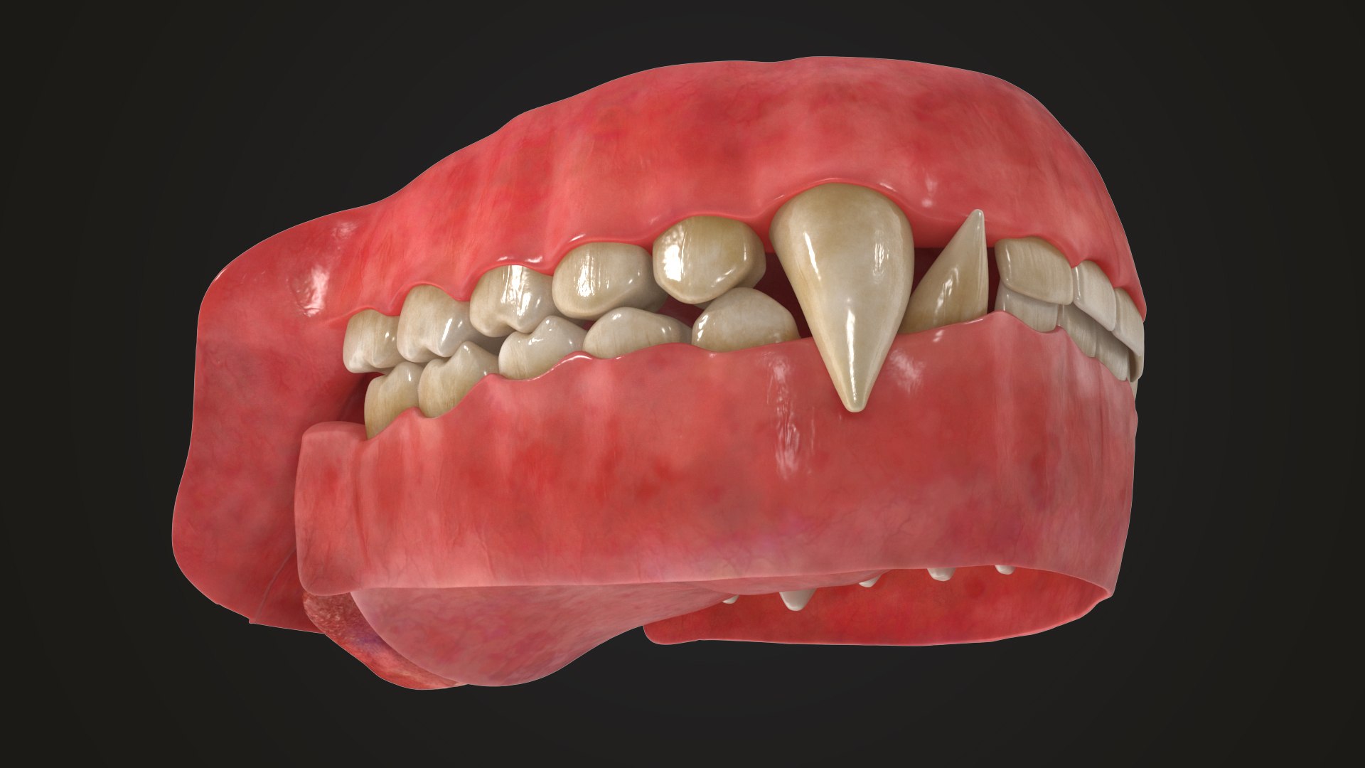 Creature Jaw Rig 3ds MAX model - TurboSquid 1781587