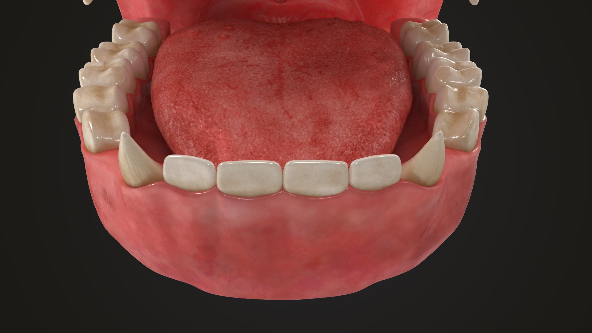 Creature Jaw Rig 3ds MAX model - TurboSquid 1781587