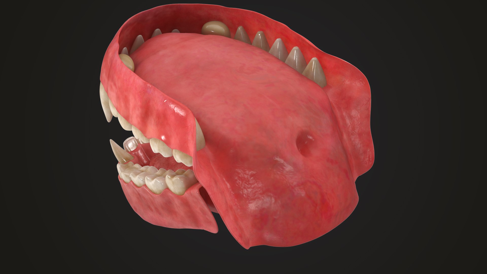 Creature Jaw Rig 3ds MAX model - TurboSquid 1781587