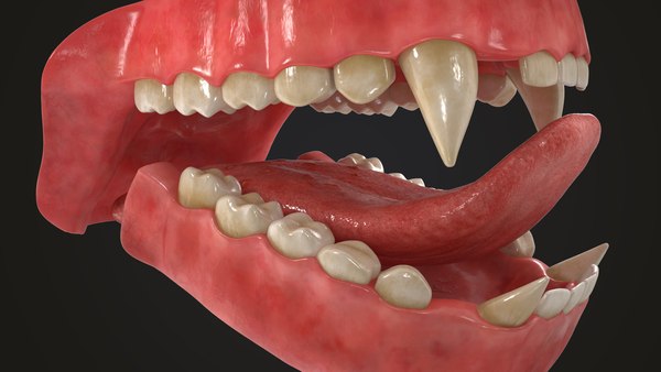 Creature Jaw Rig 3ds MAX model - TurboSquid 1781587