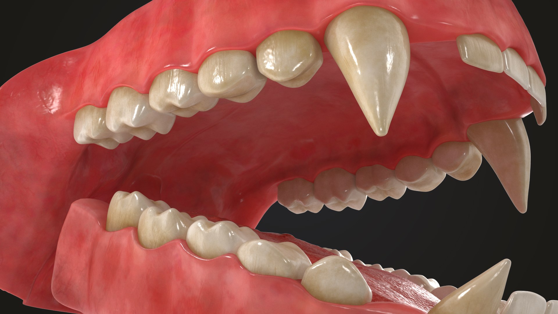 Creature Jaw Rig 3ds MAX model - TurboSquid 1781587