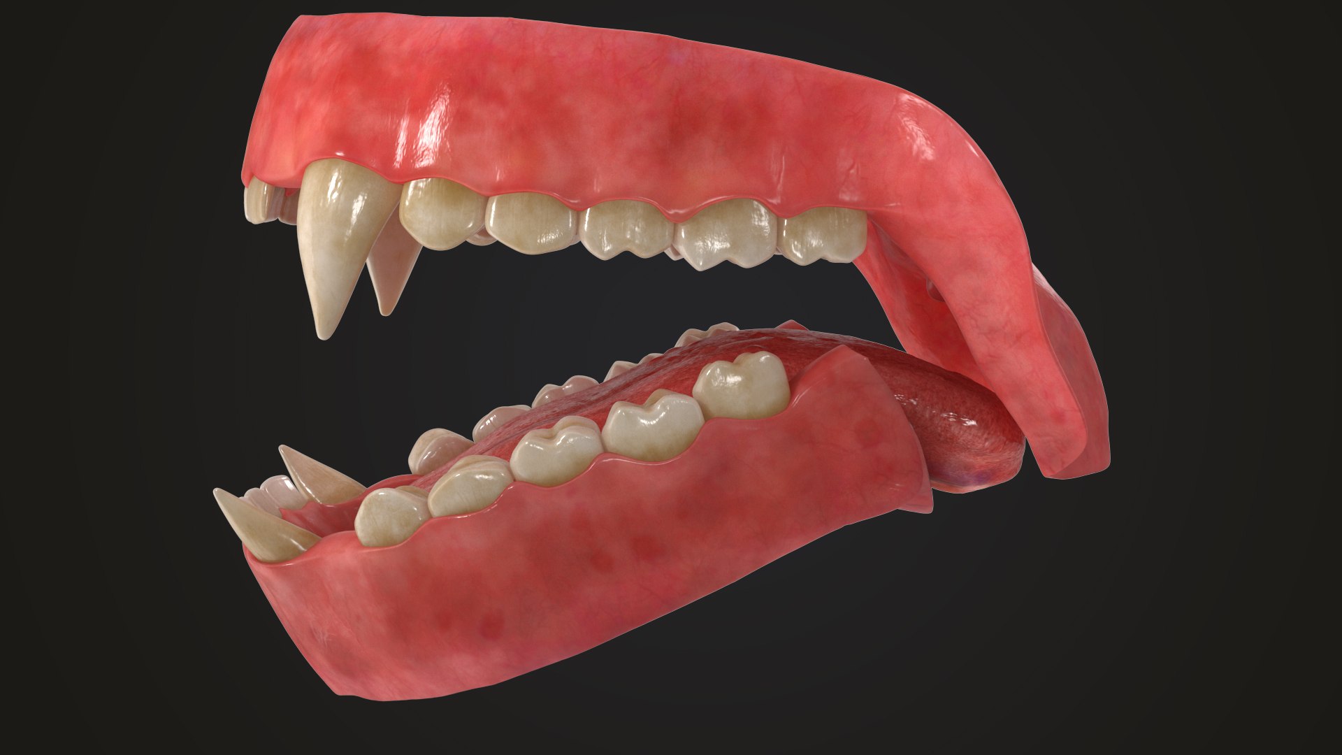 Creature Jaw Rig 3ds MAX model - TurboSquid 1781587