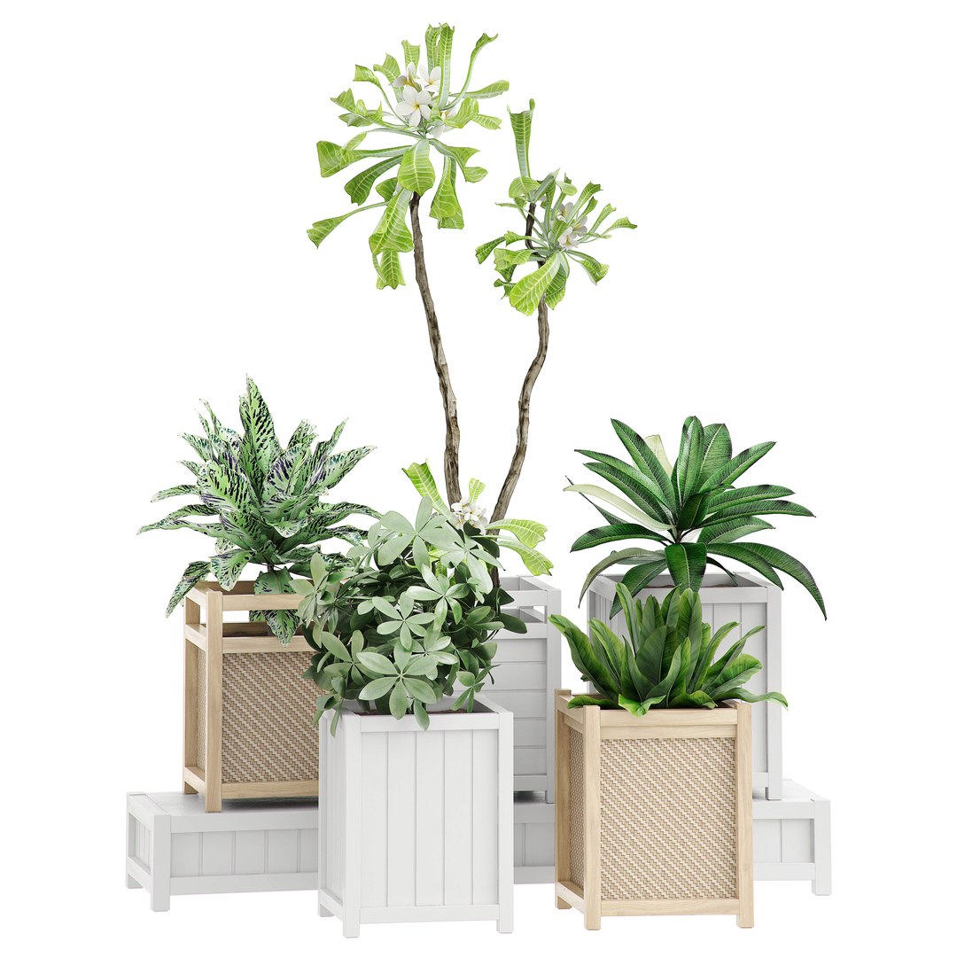 Flower Pack 117 Model - TurboSquid 1632352