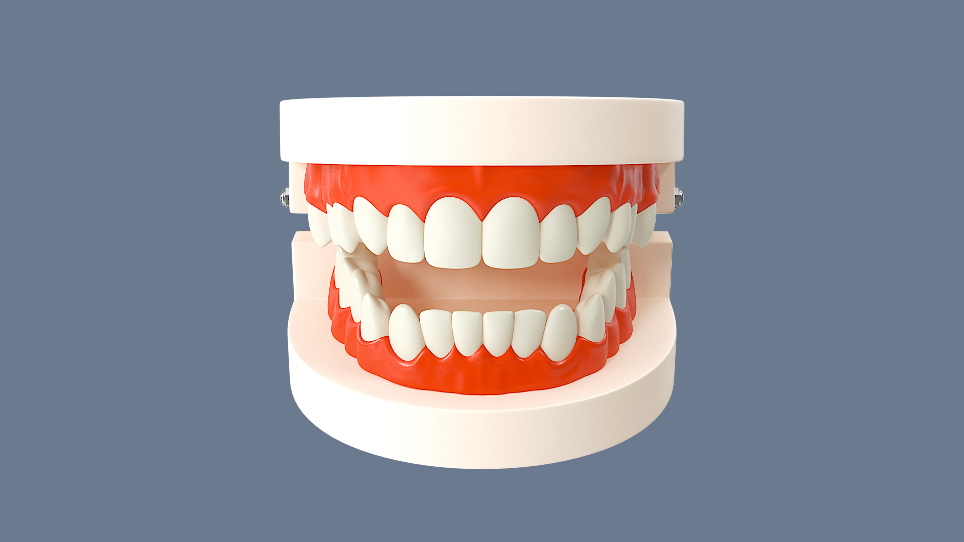 3D Model Dental Teaching Mold Rigged And Animated - TurboSquid 2306814