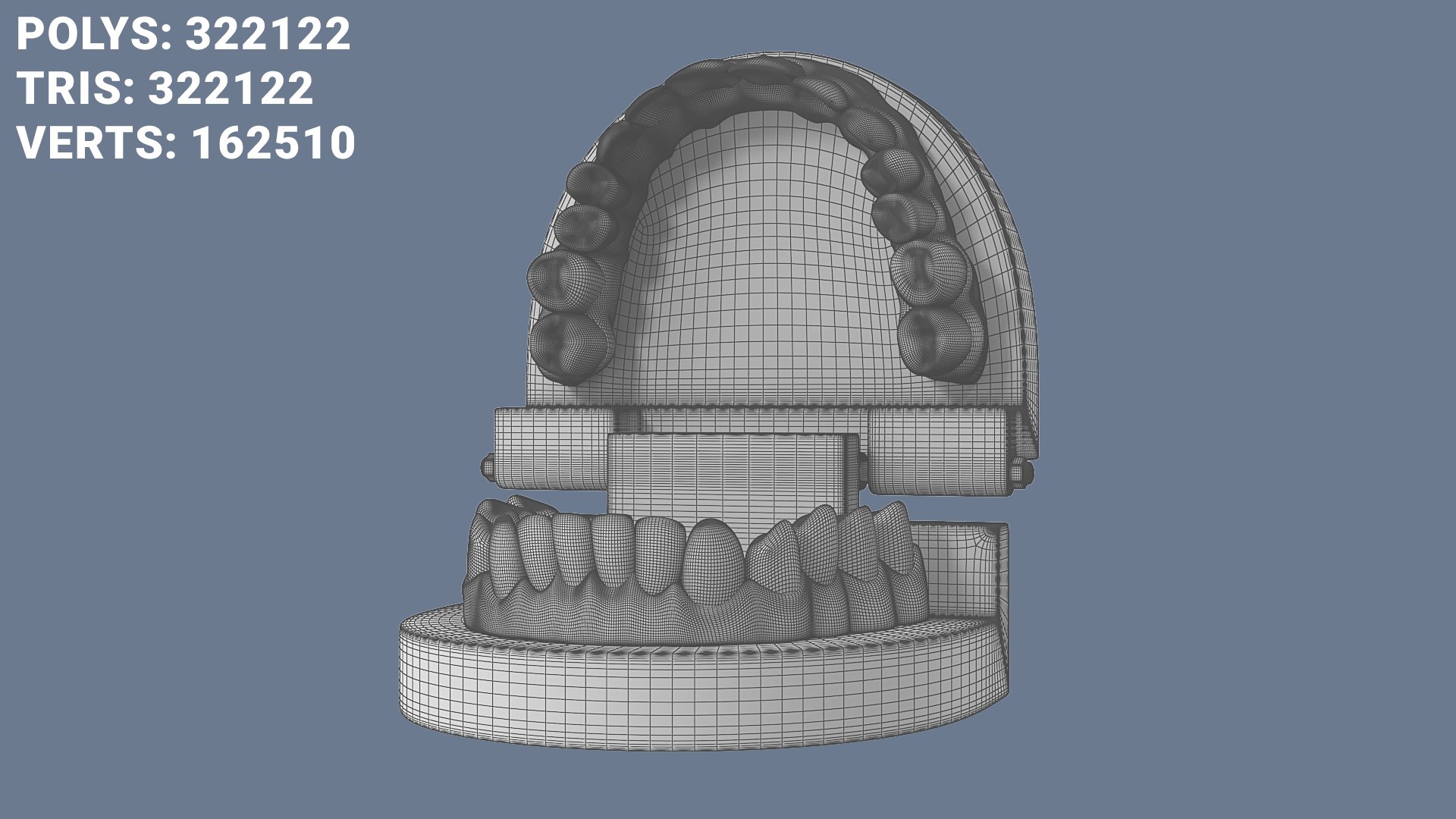 3D Model Dental Teaching Mold Rigged And Animated - TurboSquid 2306814