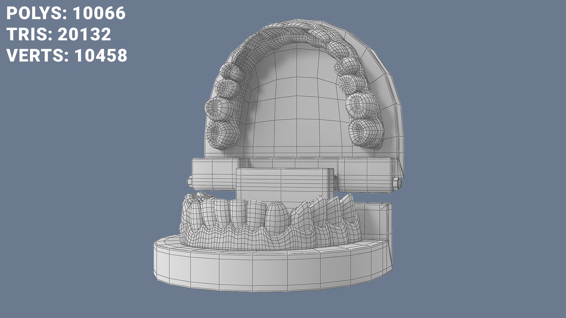 3D Model Dental Teaching Mold Rigged And Animated - TurboSquid 2306814