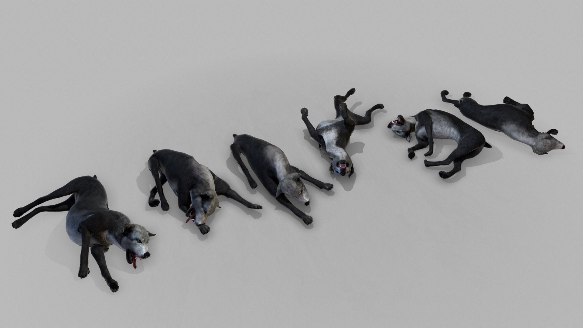 Large Corpse Collections Dog Skeleton 3D Model - TurboSquid 1383459