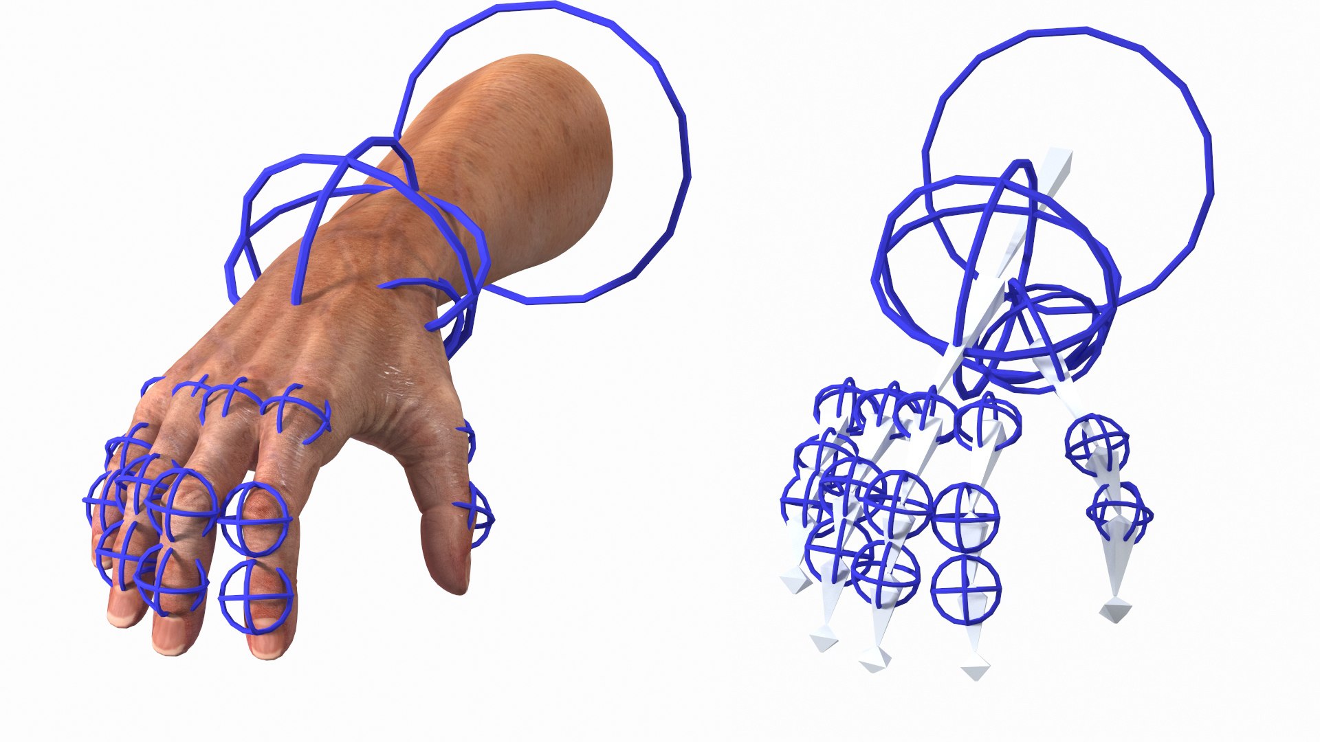 3D model Fingerprints Scanner with Rigged Hand Collection - TurboSquid ...