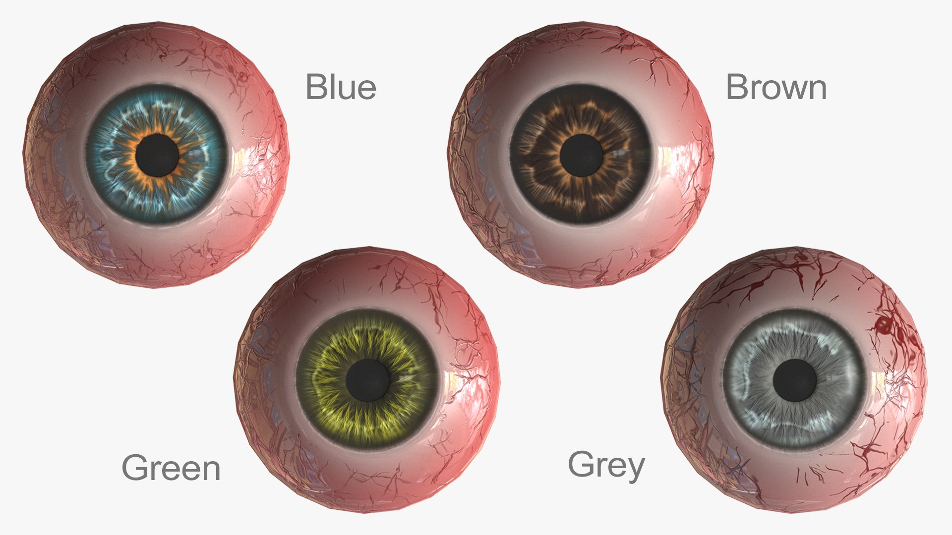 3D Model Realistic Eyeball Generator Eyes - TurboSquid 1663849