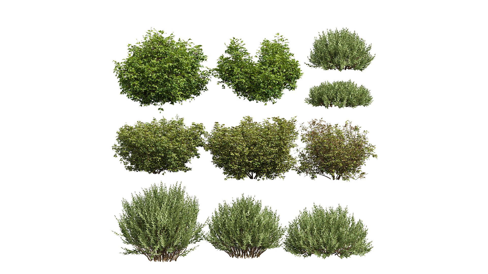 10 Different Bush 3D Model - TurboSquid 2147638