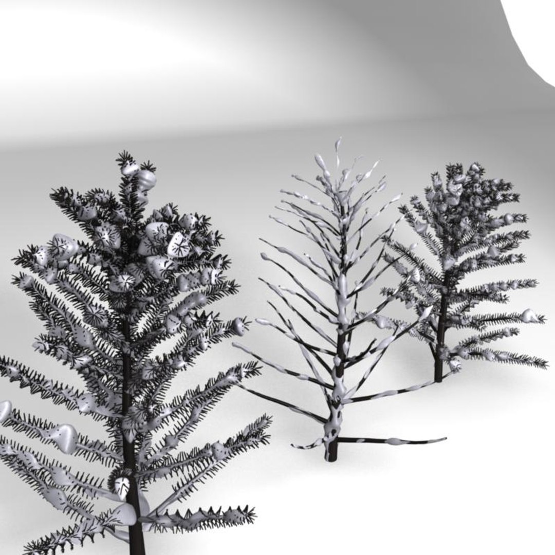 3d Model Realistic Set Trees Snow