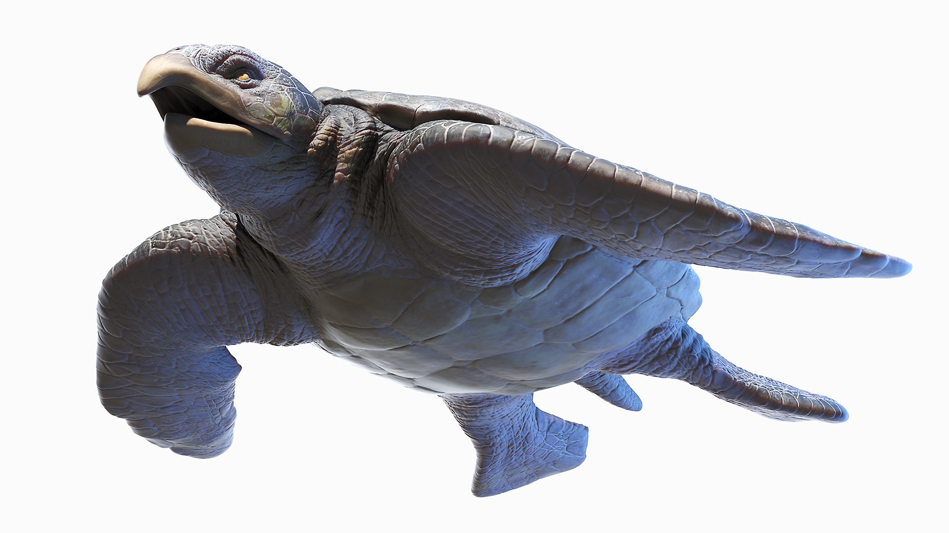 Archelon Animated 3D Model - TurboSquid 1919878