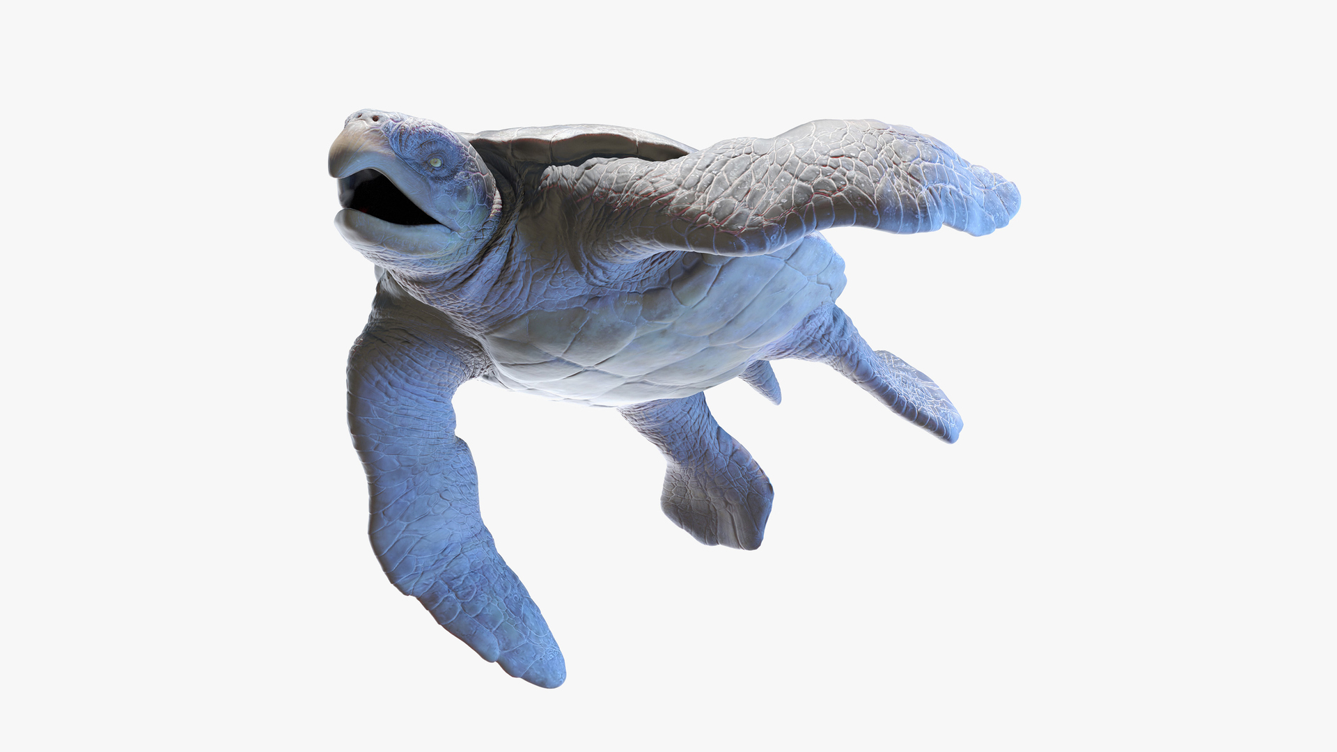modelo 3d Archelon animado - TurboSquid 1919878