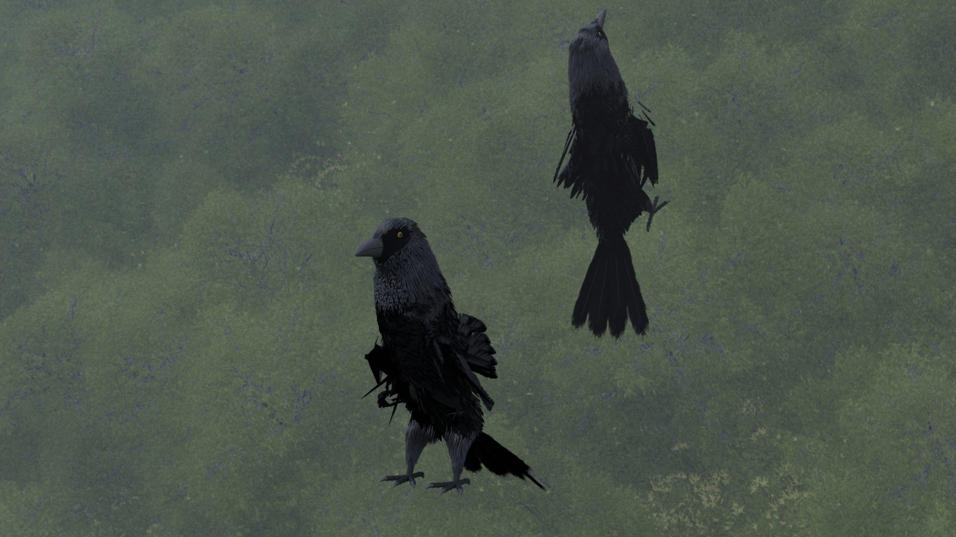 Crow 3D - TurboSquid 1791450