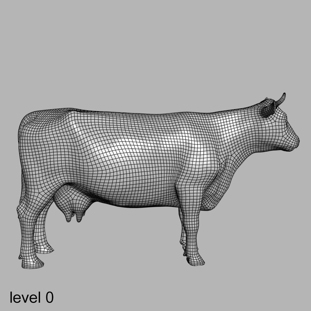 3d model of cow anatomy