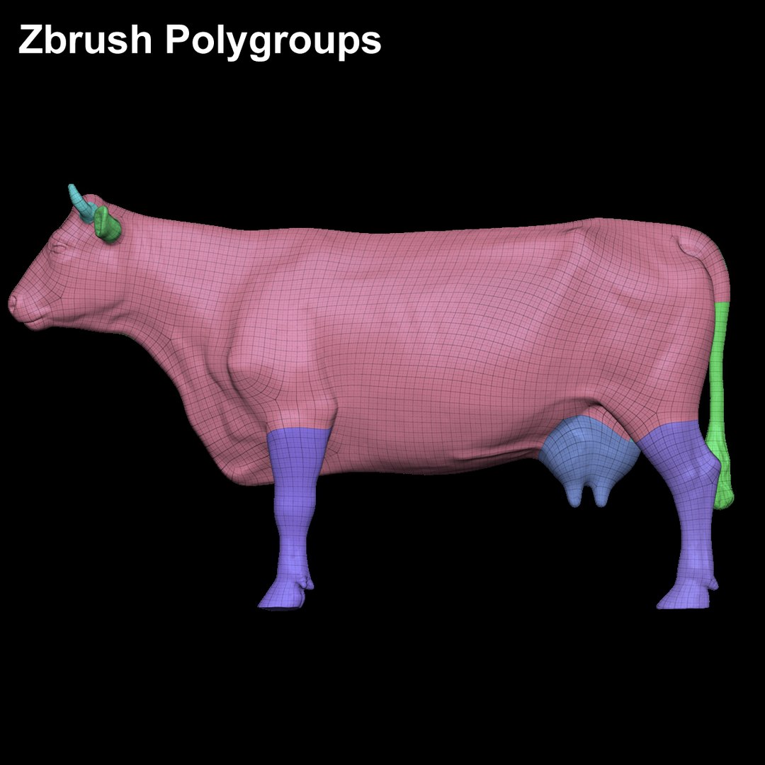 3d model of cow anatomy