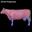 3d Model Of Cow Anatomy