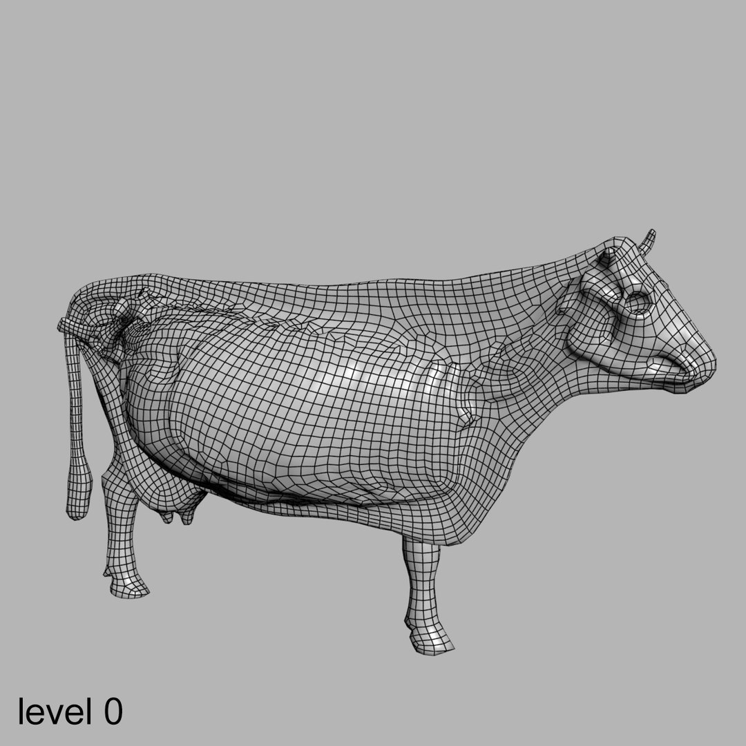3d model of cow anatomy