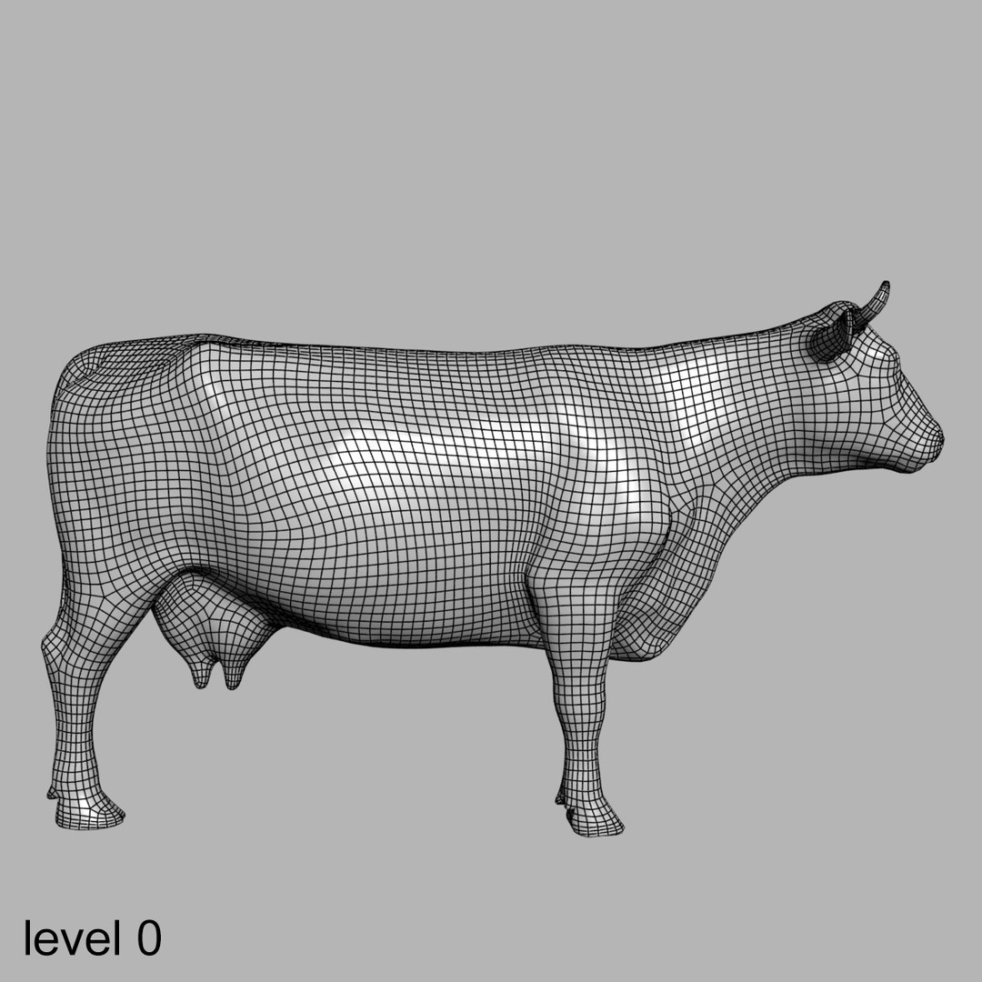 3d model of cow anatomy
