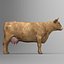 3d Model Of Cow Anatomy