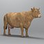 3d Model Of Cow Anatomy