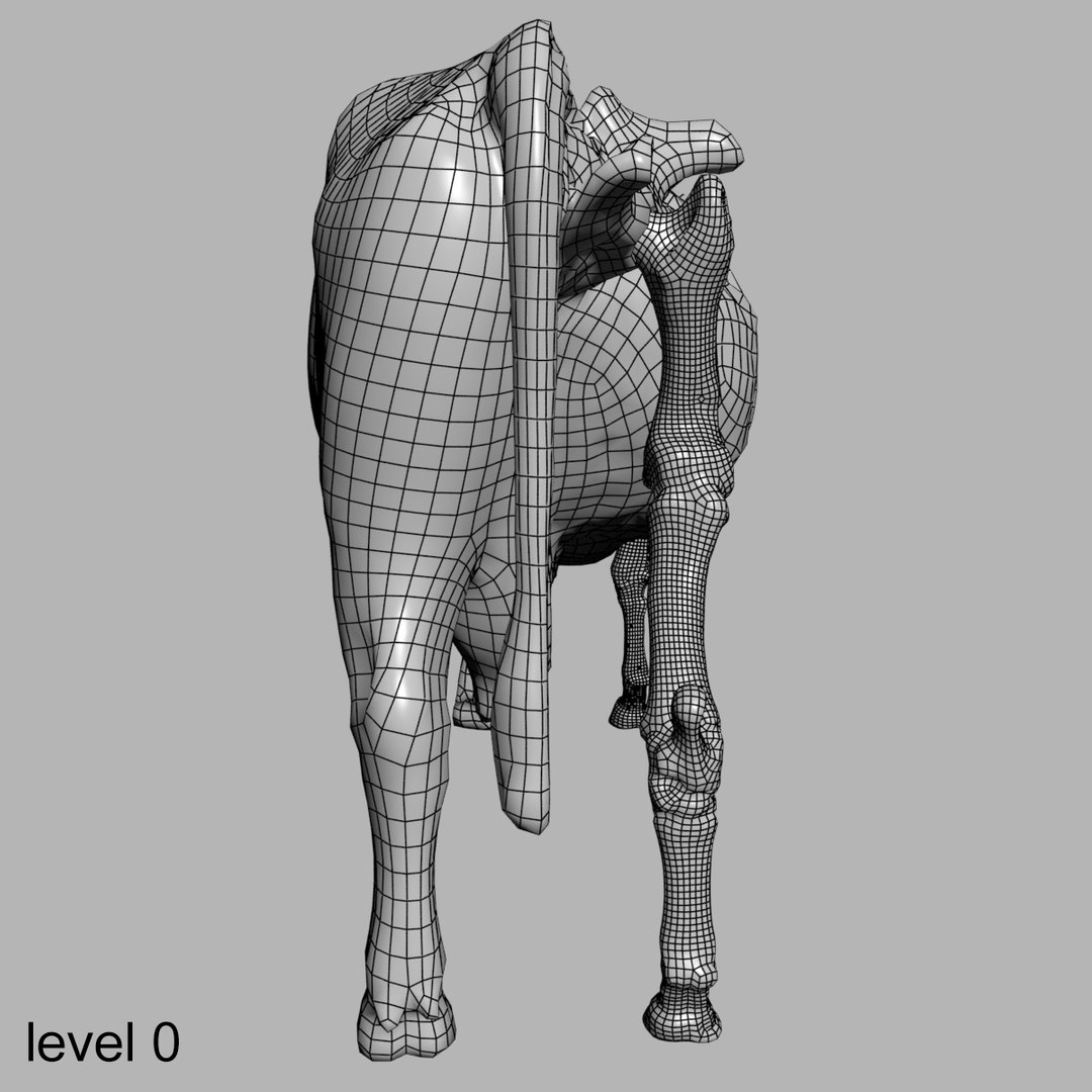 3d model of cow anatomy