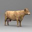 3d Model Of Cow Anatomy