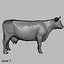 3d Model Of Cow Anatomy