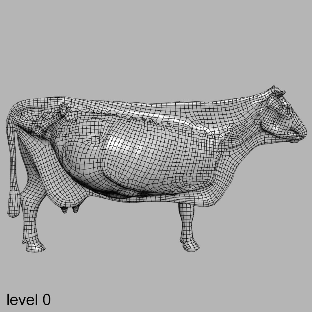 3d model of cow anatomy