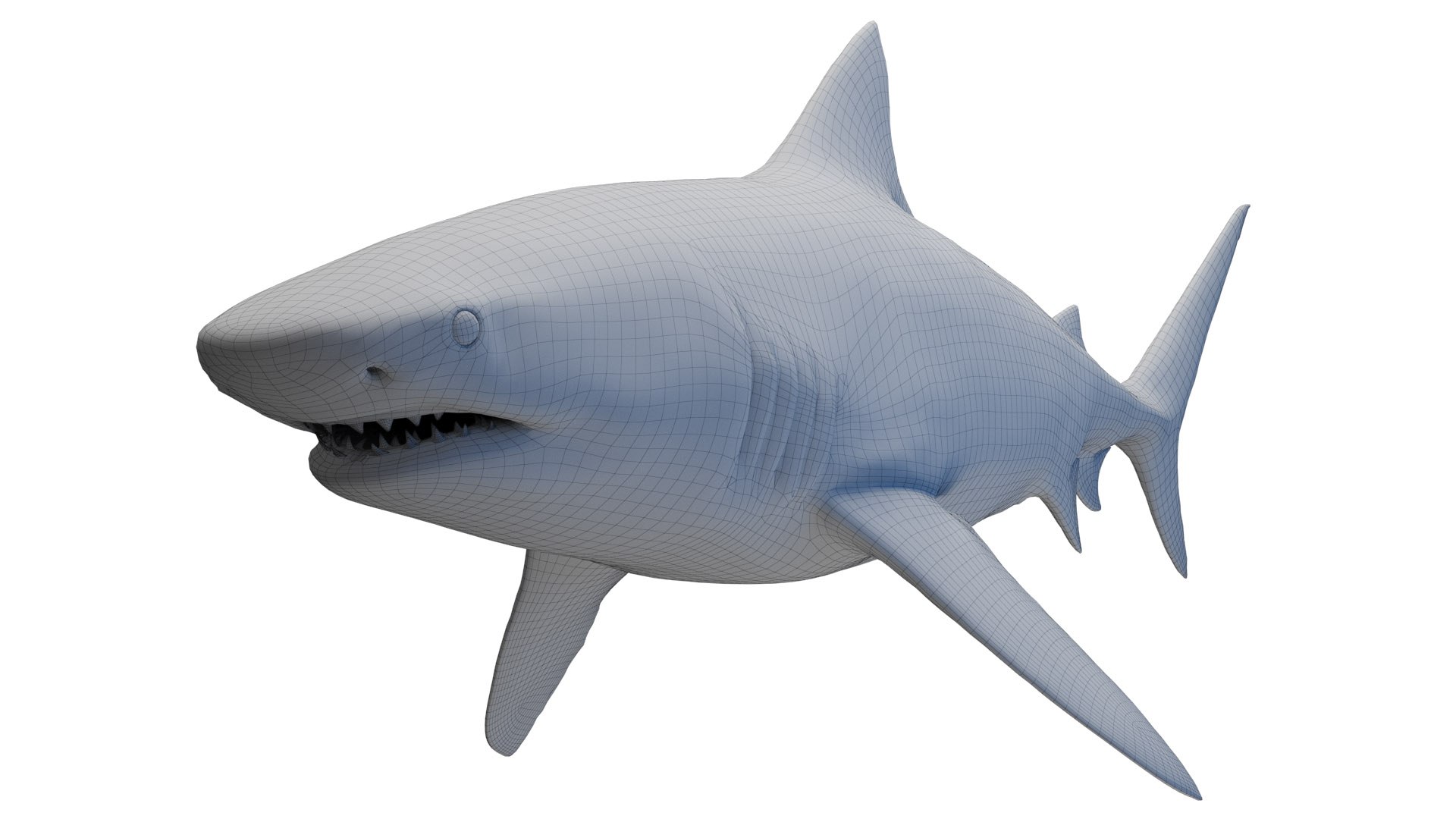 Tiger Shark Animated 3D Model - TurboSquid 2150861