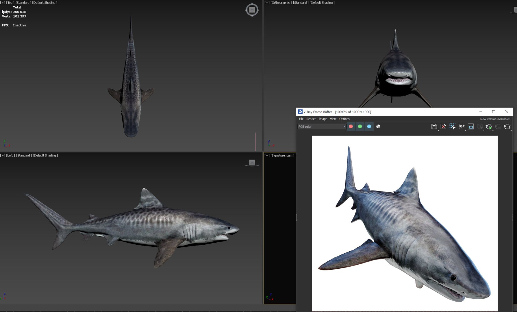 Tiger Shark Animated 3D Model - TurboSquid 2150861