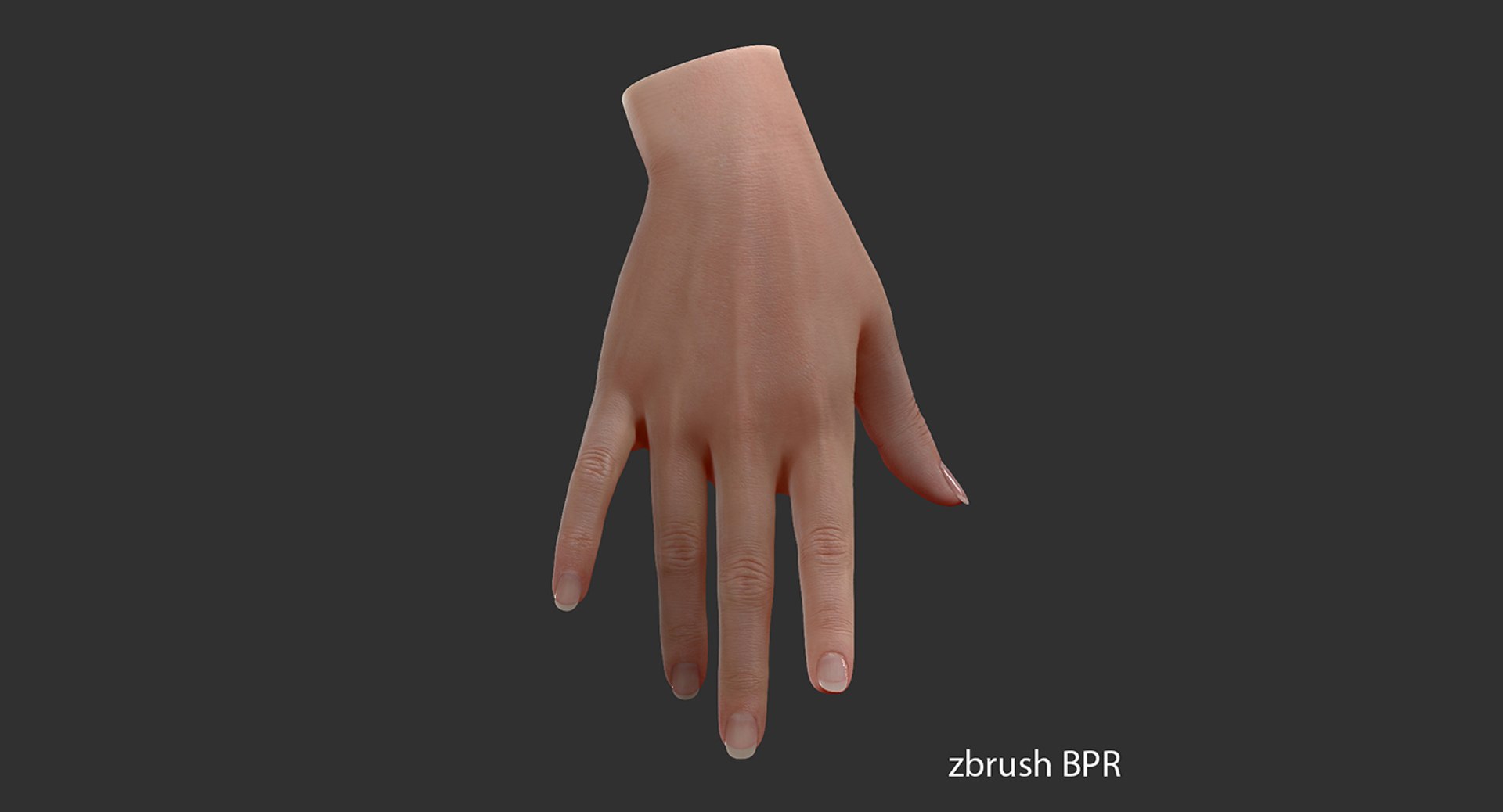 3D Realistic Female Hand File - TurboSquid 1203283