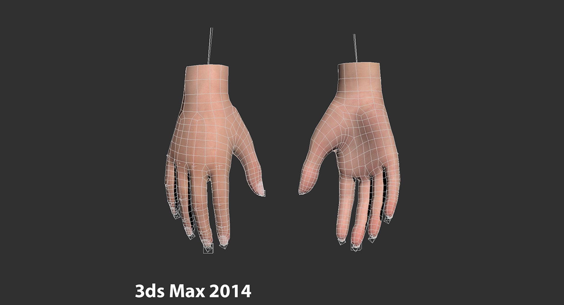 3D Realistic Female Hand File - TurboSquid 1203283