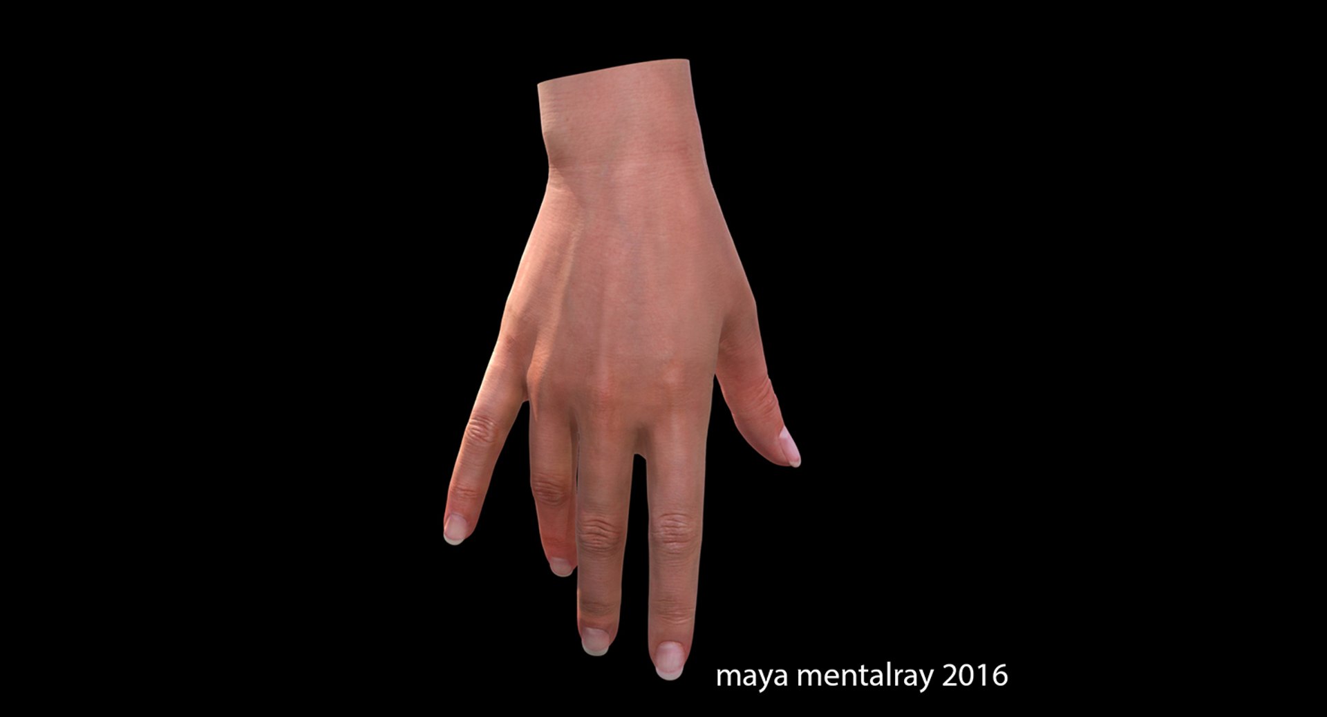 3D Realistic Female Hand File - TurboSquid 1203283