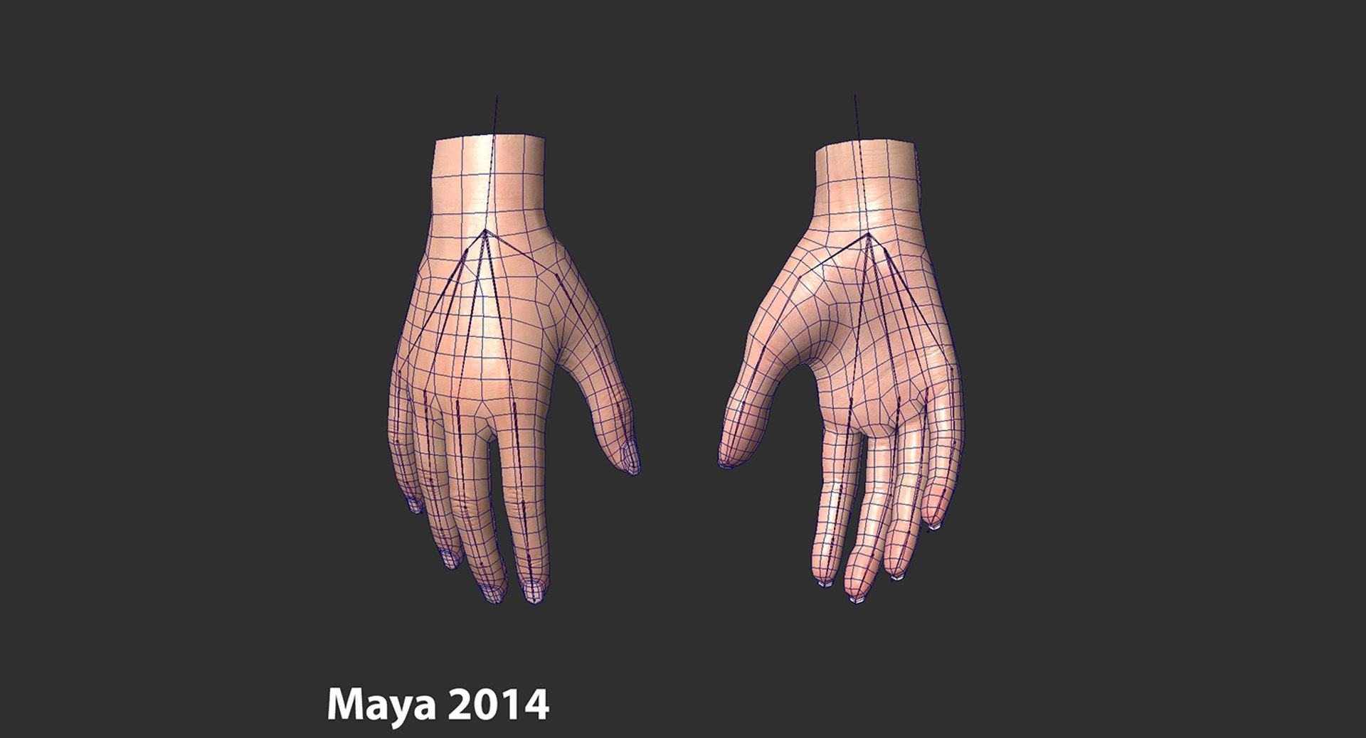 3D Realistic Female Hand File - TurboSquid 1203283