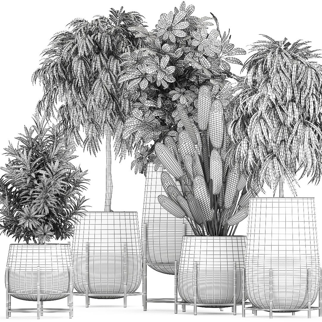 Plants Flowerpots Pots Model - TurboSquid 1669012