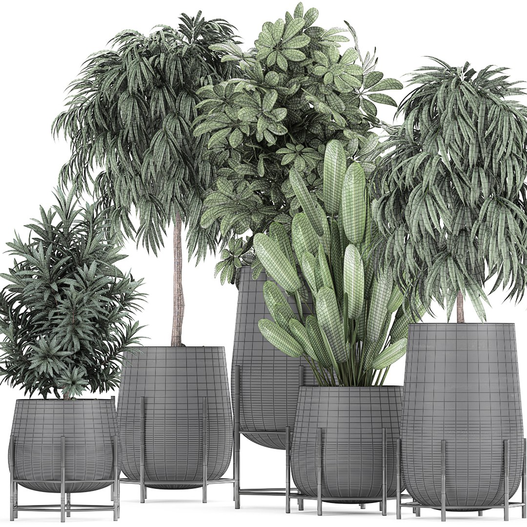 Plants Flowerpots Pots Model - TurboSquid 1669012