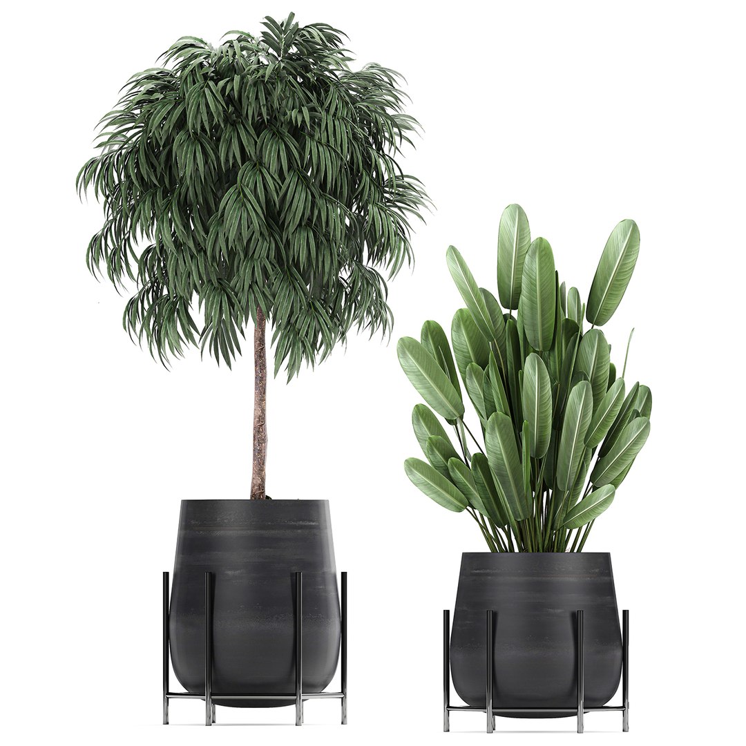 Plants Flowerpots Pots Model - TurboSquid 1669012