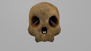 Free Low Poly 3D Skull Models For Download | TurboSquid