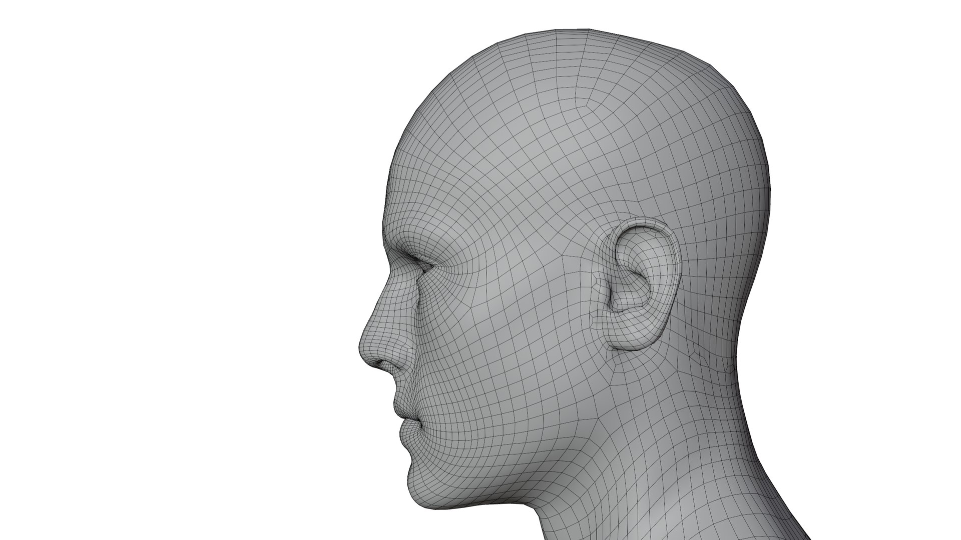 Male Head Topology 3D - TurboSquid 1671439