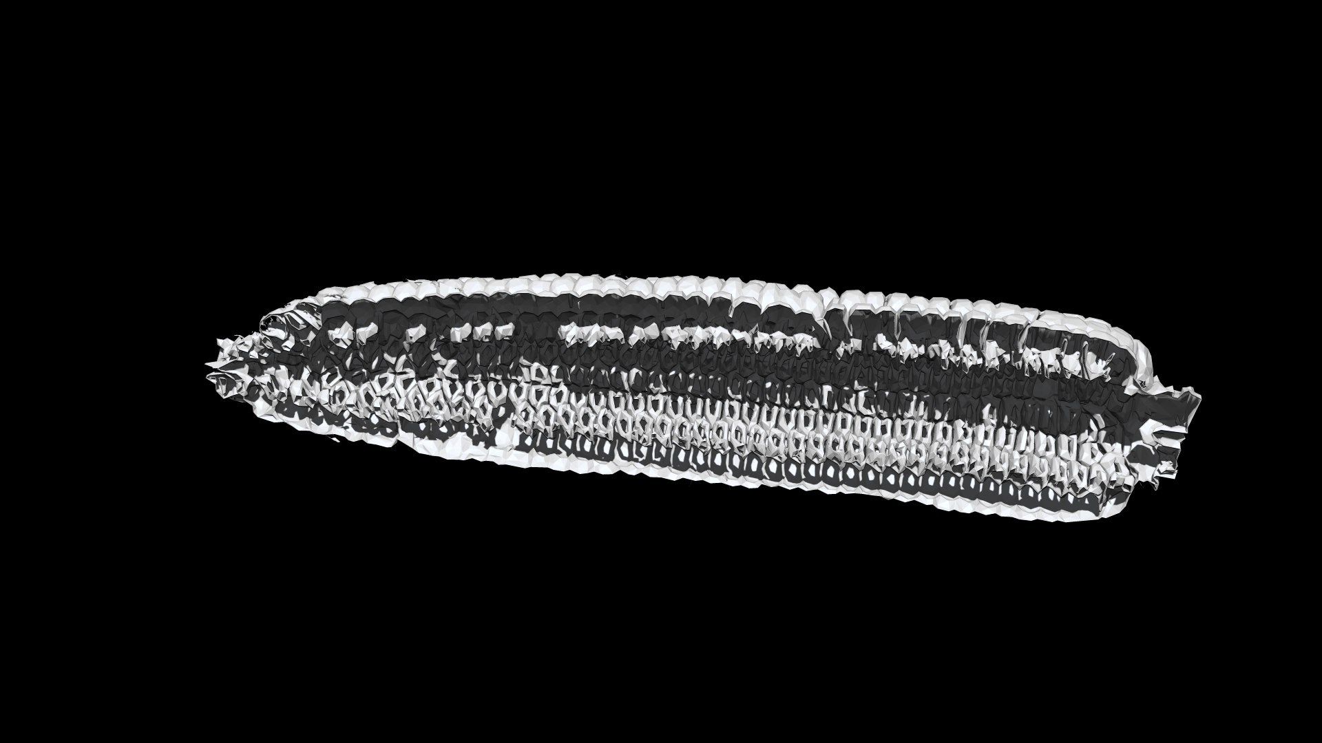 Corn 3D CT Scan Model Cut1 Half Decimae 5 Percent 3D Model - TurboSquid ...