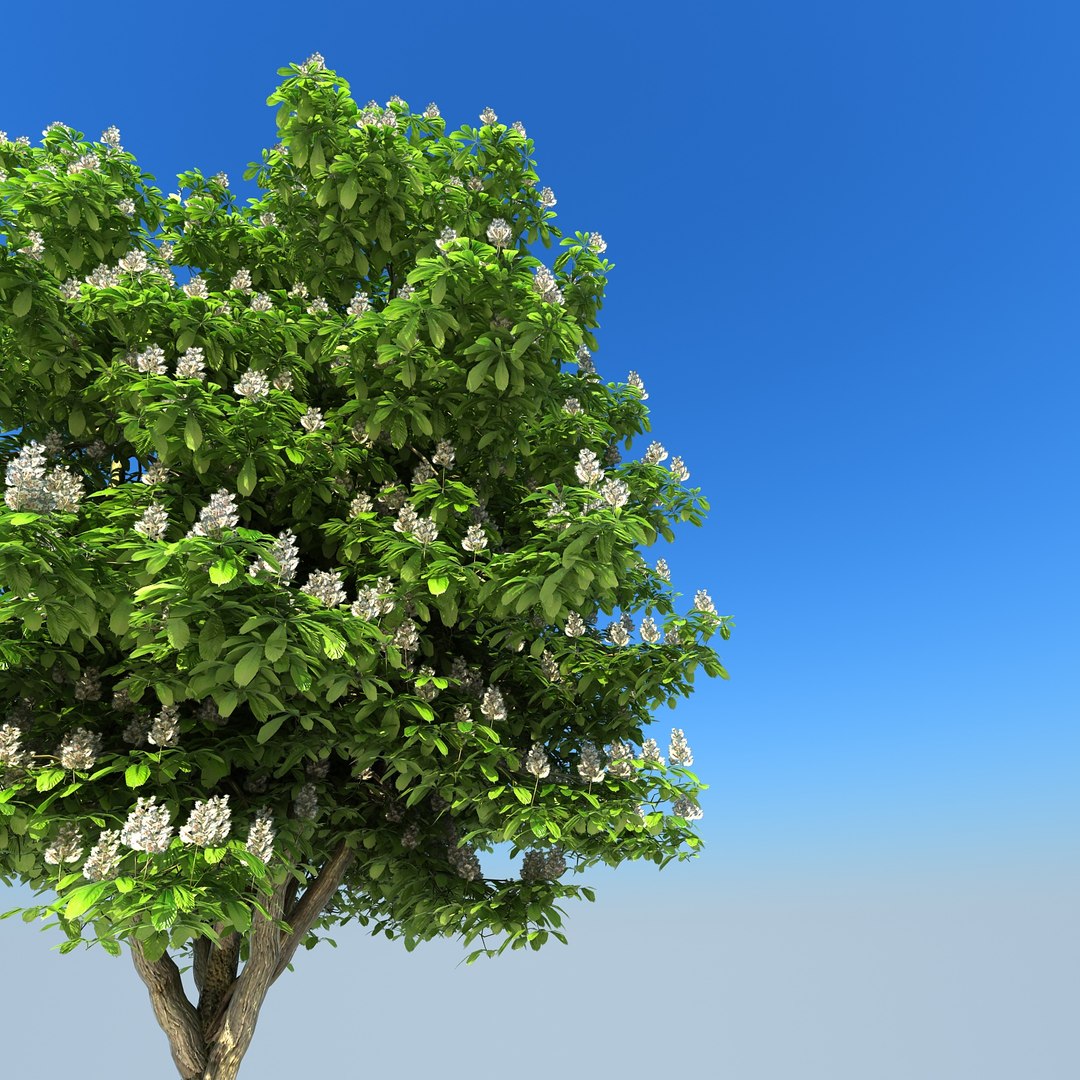 3D Model Scan - TurboSquid 1159767