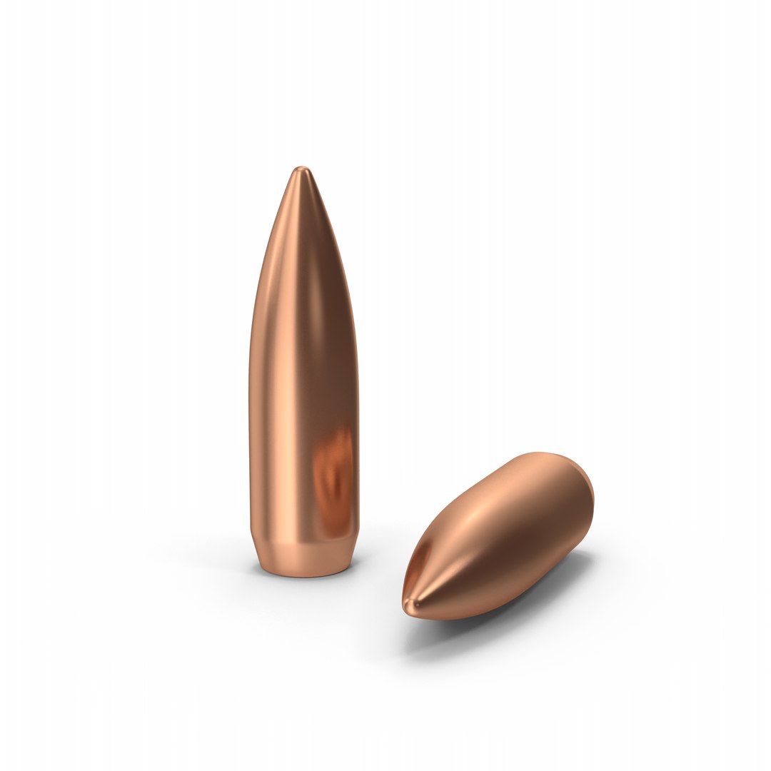 3D Model Rifle Bullets - TurboSquid 1960993