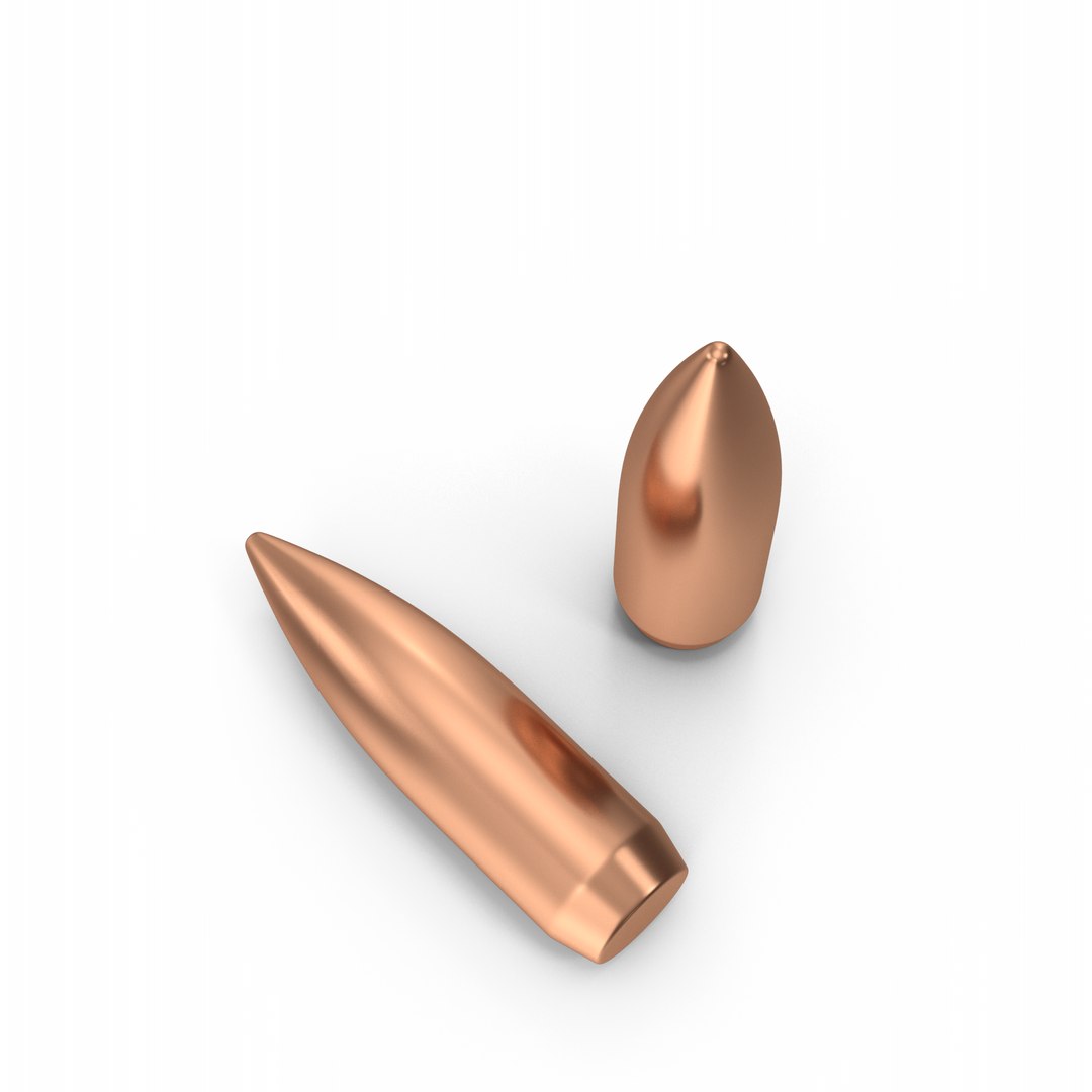 3D Model Rifle Bullets - TurboSquid 1960993