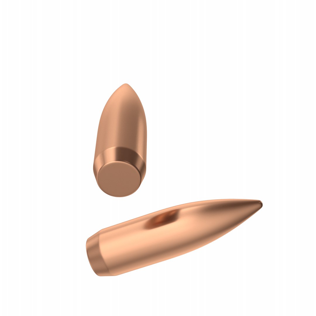 3D Model Rifle Bullets - TurboSquid 1960993