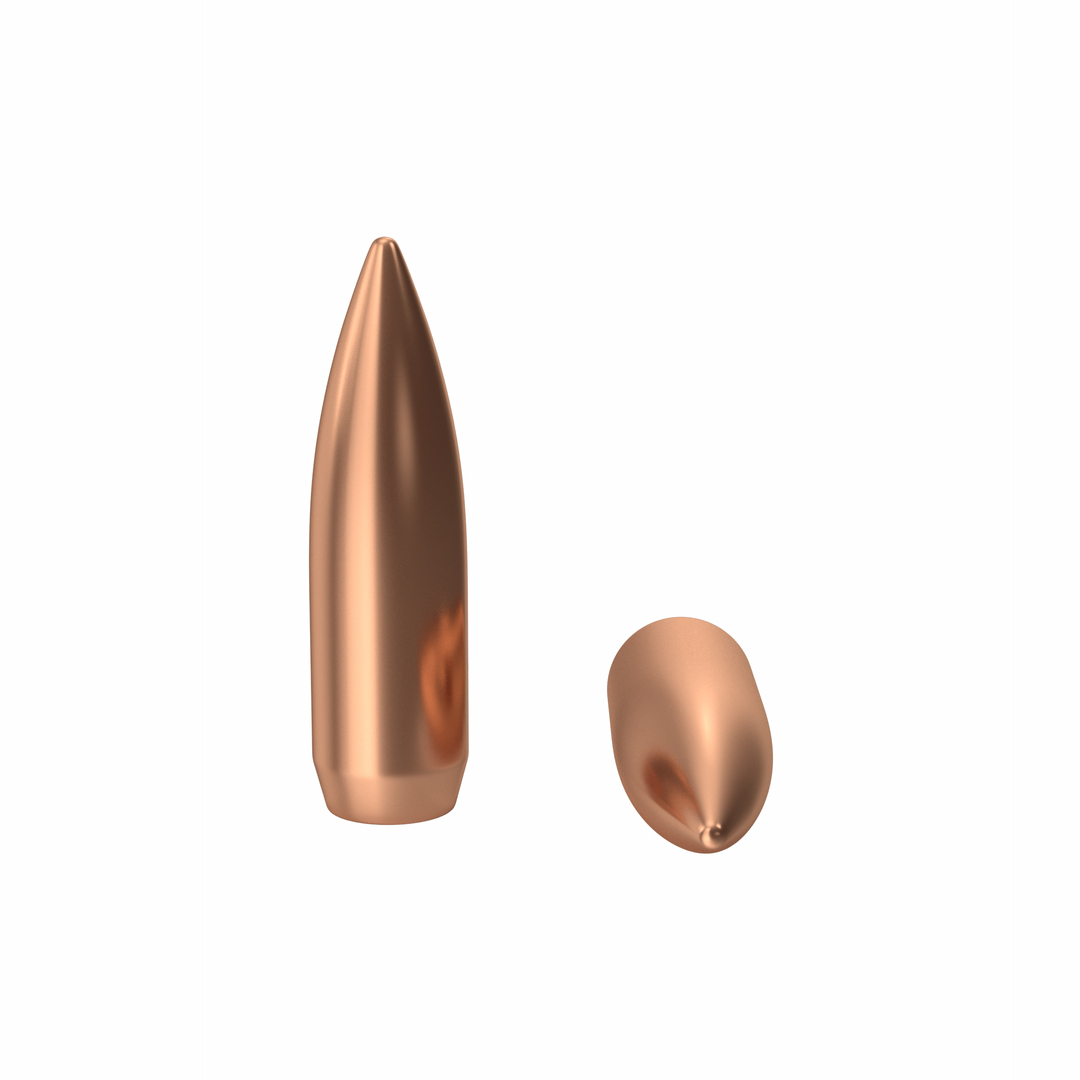 3D Model Rifle Bullets - TurboSquid 1960993